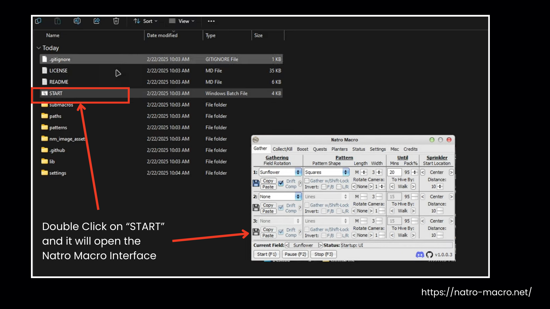 Natro Macro v1.1.2 » Download for Windows [Official]