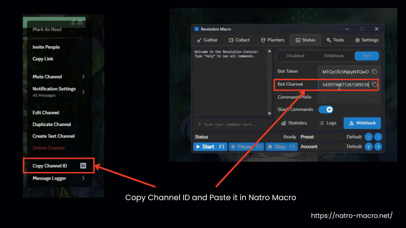 How to Use Natro Macro [Step-by-Step Guide]