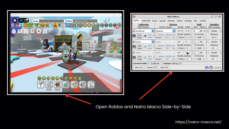 How to Use Natro Macro [Step-by-Step Guide]