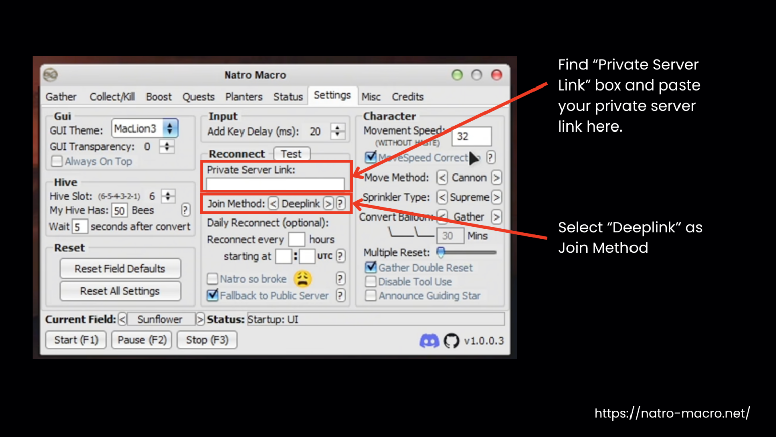 How to Use Natro Macro [Step-by-Step Guide]