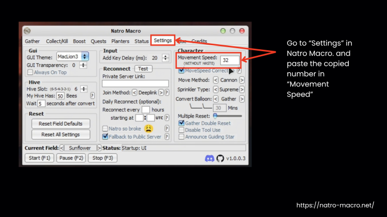 How to Use Natro Macro [Step-by-Step Guide]